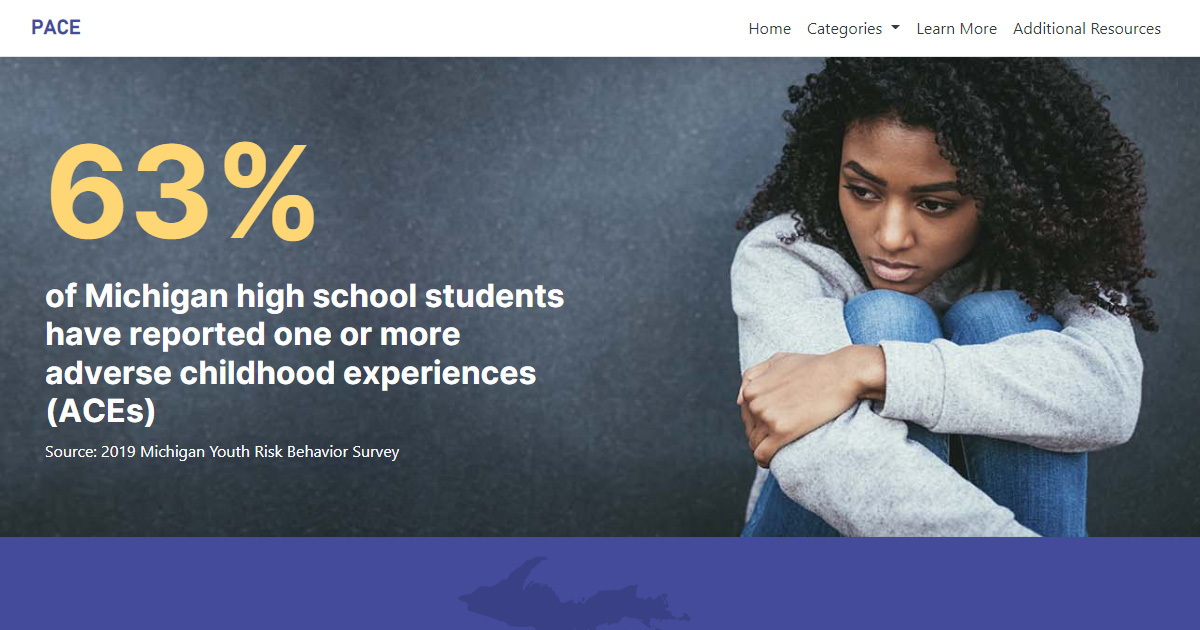 Home Page - MI ACE Data Dashboard
